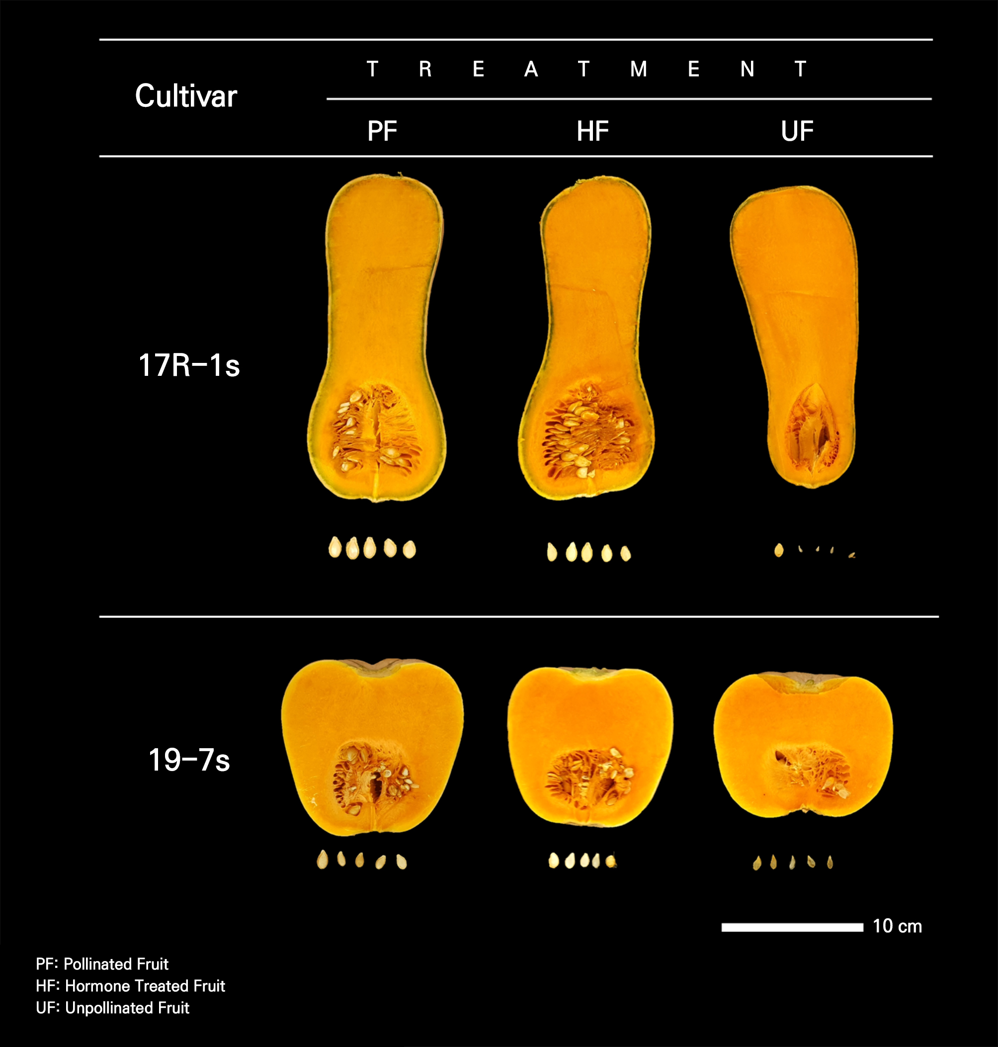 Fruit Characteristics and Effects of a 2, 4-D Treatment on ...